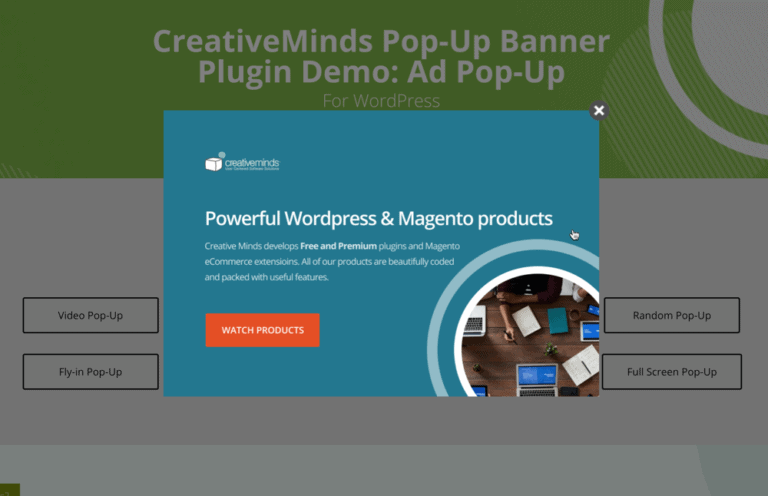10 Best WordPress Banner Plugins (Free & Paid)