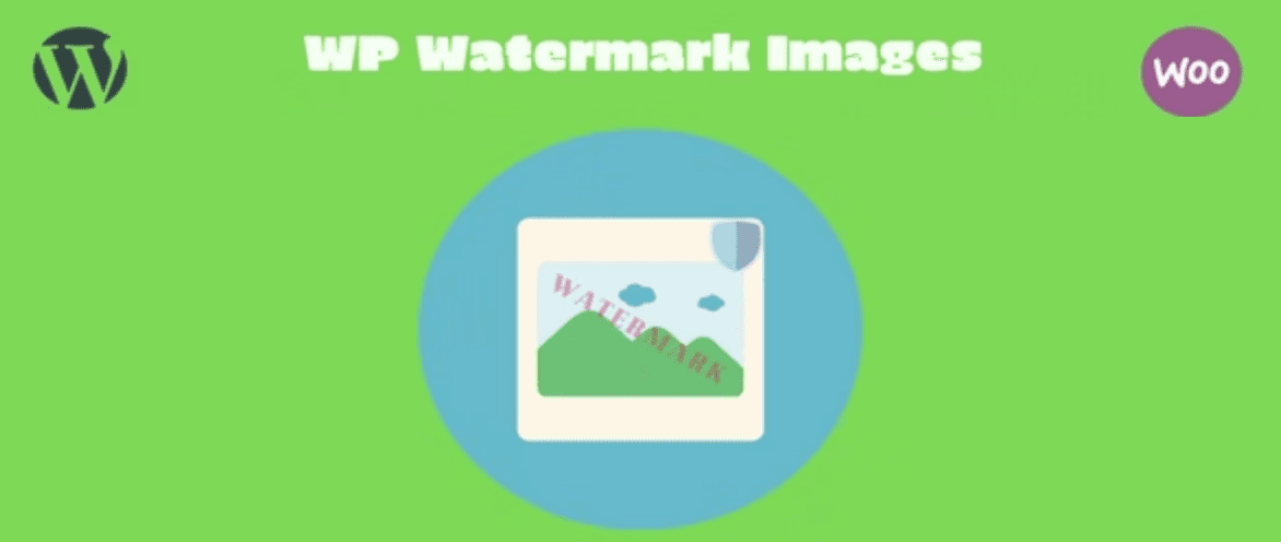 5 Best WordPress Watermark Plugins To Protect Copyrights
