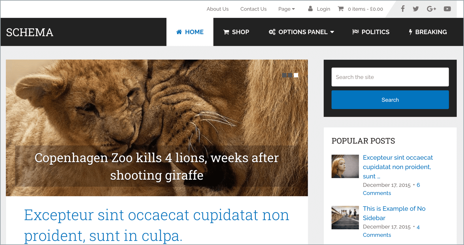 9+ Best Amazon Affiliate WordPress Themes (Free & Paid)